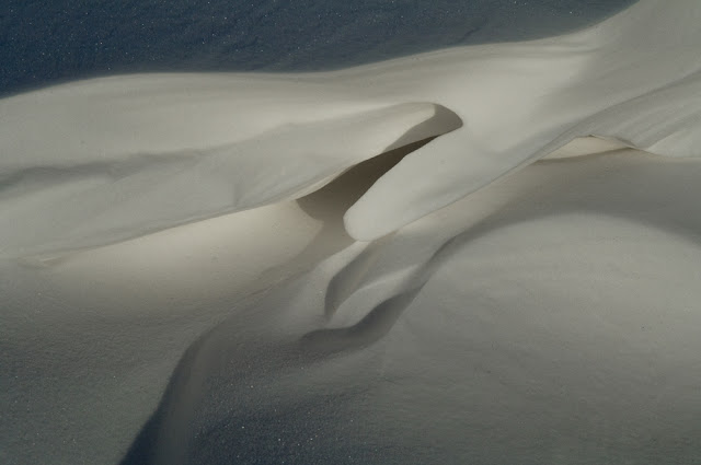 LENSCRATCH 4th Annual Favorite Photographs of 2012 Exhibition - LENSCRATCH