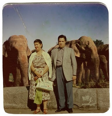 Liz Steketee - LENSCRATCH