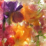 Andrea Stone: City Reflections | LENSCRATCH