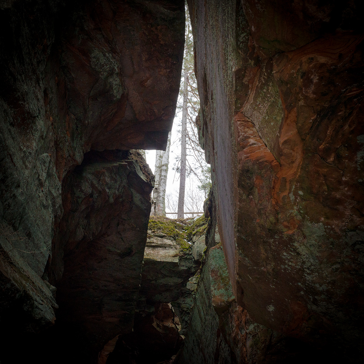 Meet the Team: Sarah Stankey - LENSCRATCH