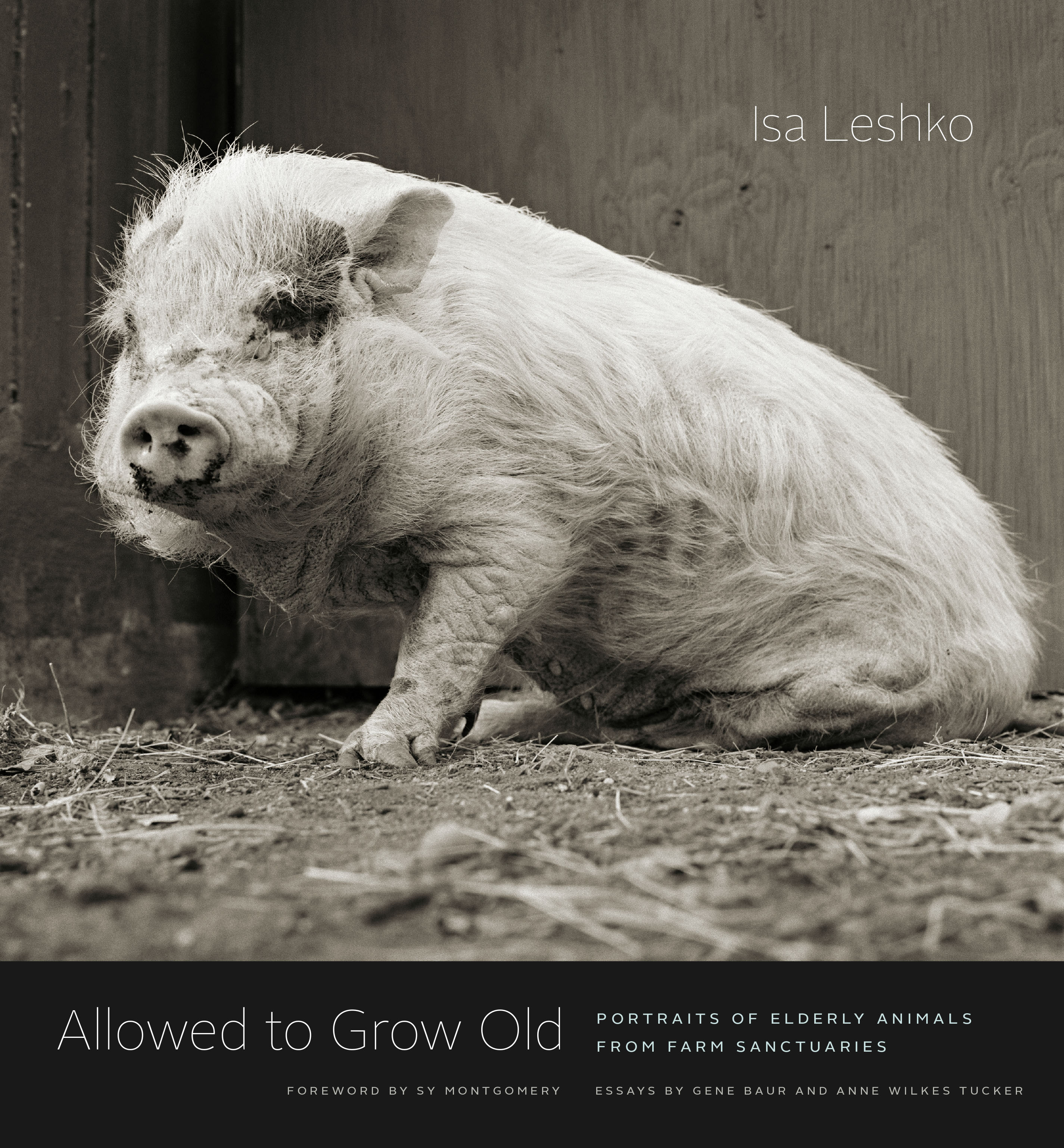 Isa Leshko: Allowed to Grow Old - LENSCRATCH