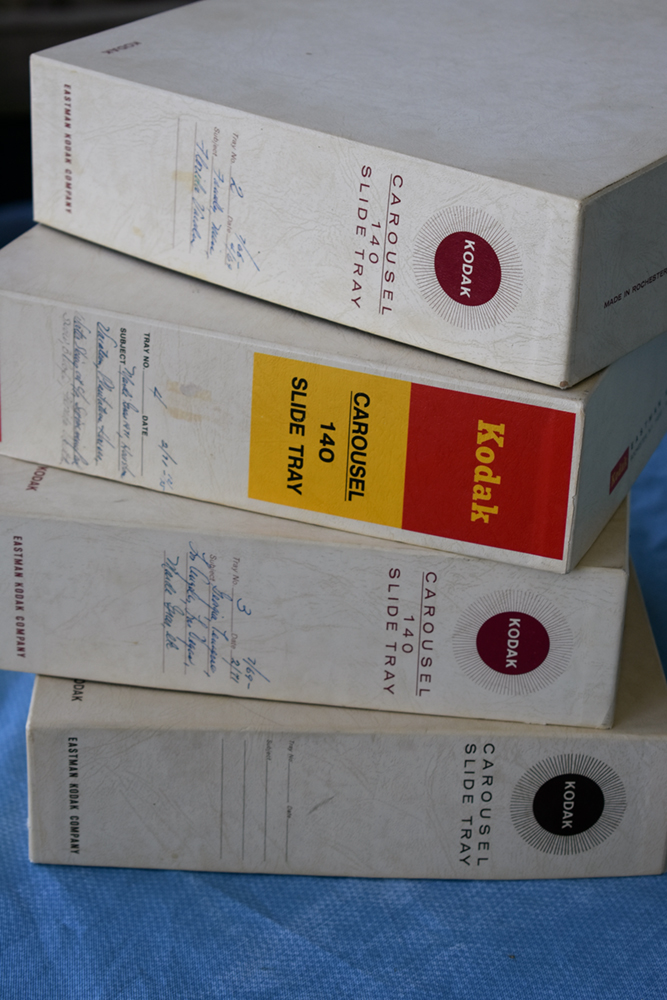 The 2019 Lenscratch FAMILY Exhibition | LENSCRATCH