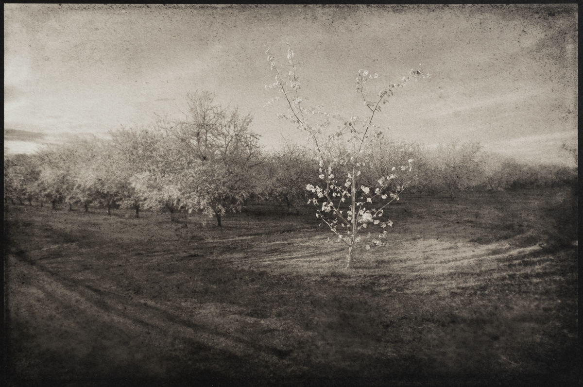 Project 2020 at the Los Angeles Center of Photography - LENSCRATCH