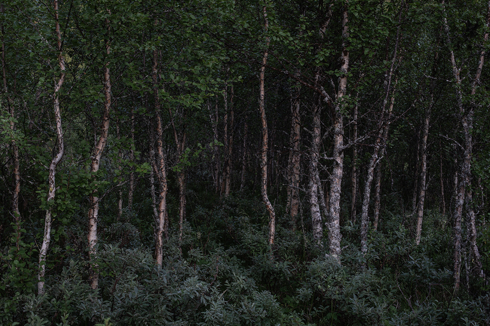 Ingvild Melby: The Present is Woven with Multiple Pasts - LENSCRATCH