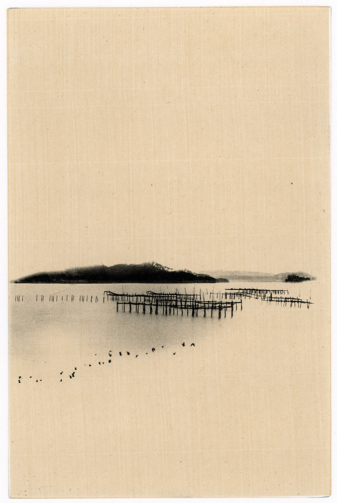 Photographers on Photographers: Michelle Piergoelam in Conversation ...