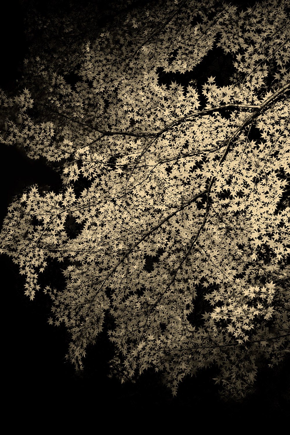 Photographers on Photographers: Michelle Piergoelam in Conversation ...