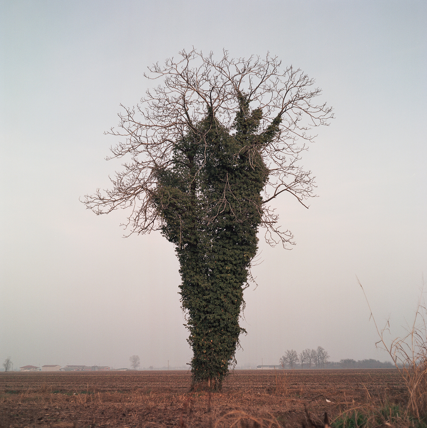 Mauro Curti: Riturné - LENSCRATCH