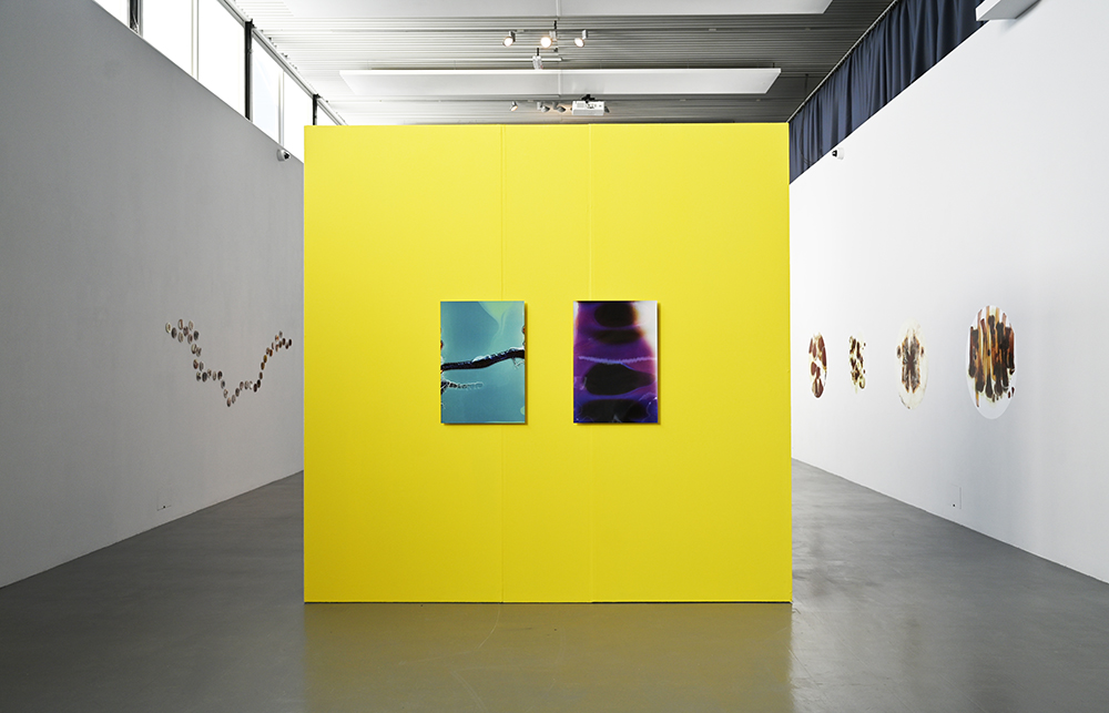 Elizabeth Ransom: Homesick - LENSCRATCH