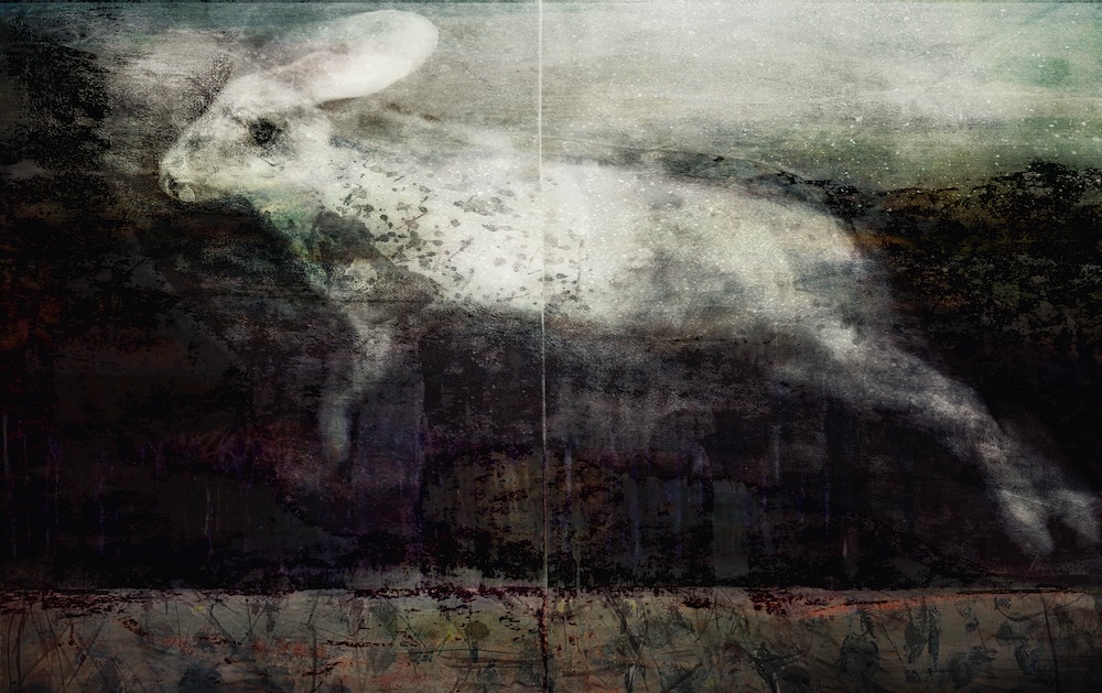 The Female Gaze: Judith Nangala Crispin - A Committed Practice - LENSCRATCH