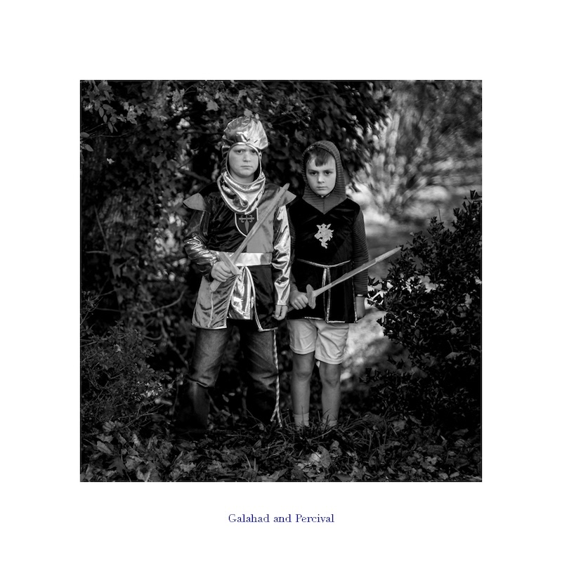 The Female Gaze: Anne Berry - Ode to the Blue Horses - LENSCRATCH
