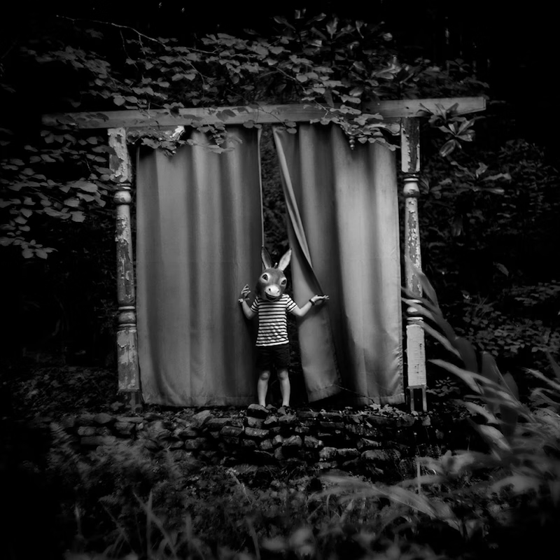 The Female Gaze: Anne Berry - Ode to the Blue Horses - LENSCRATCH