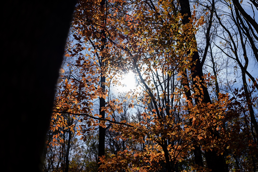 The Next Generation and the Future of Photography - LENSCRATCH