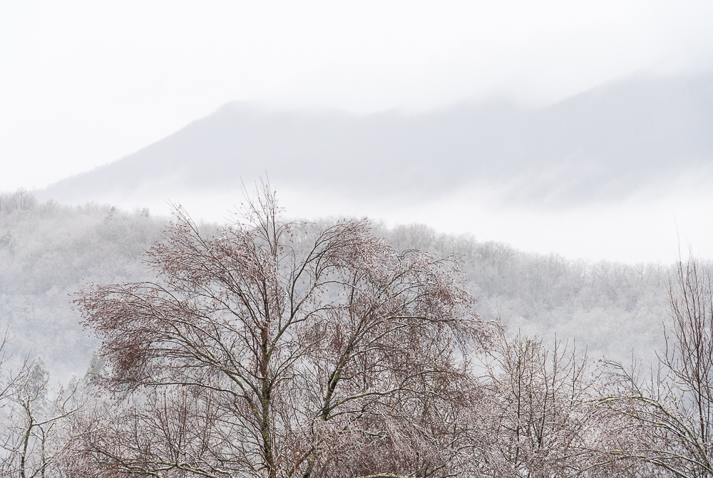 Marcia Molnar: The Silence of Winter - LENSCRATCH